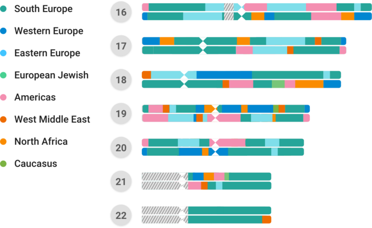 Unlock Your Ancestry With Family Finder - FamilyTreeDNA