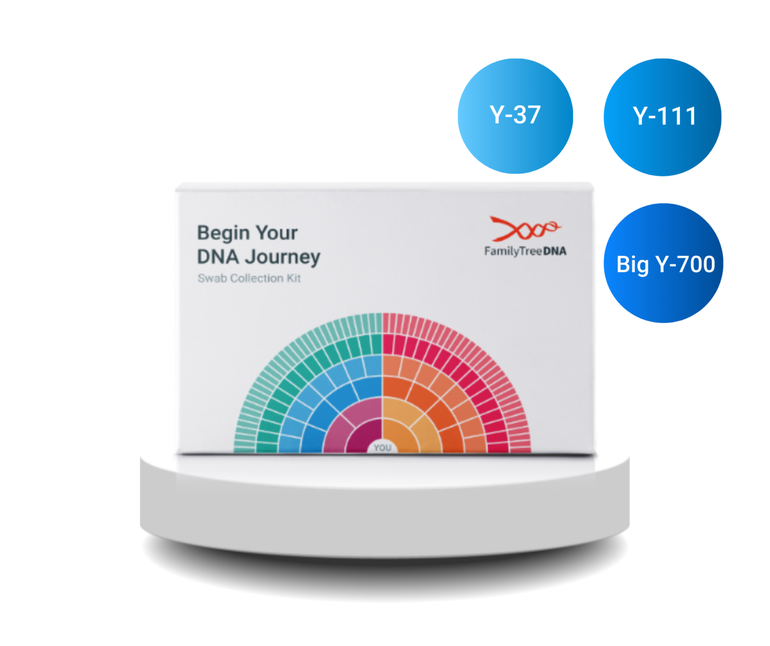 Trace Your Paternal Ancestry With Y-DNA - FamilyTreeDNA