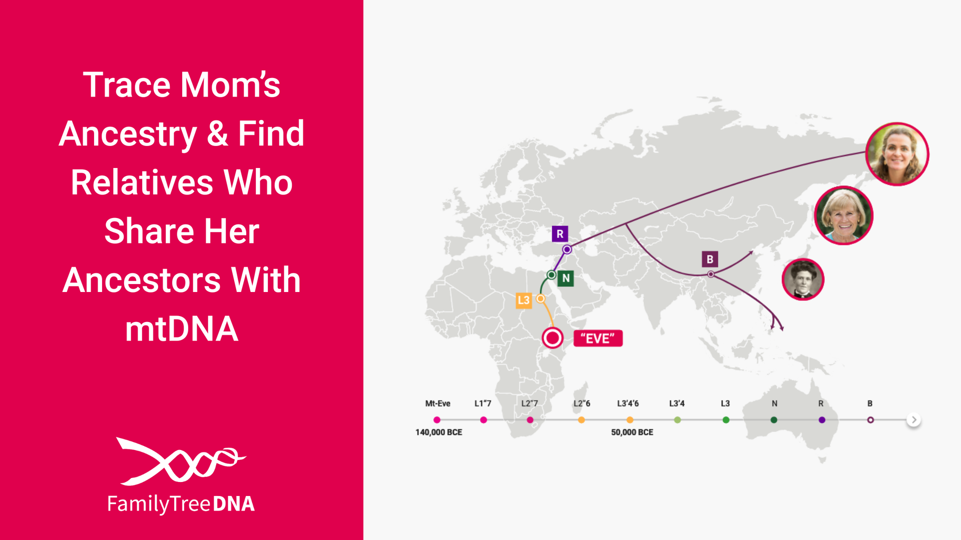 mtDNA - Trace Your Maternal Ancestry - FamilyTreeDNA